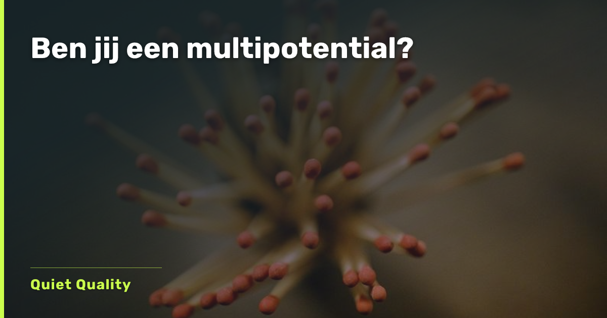 Ben jij een multipotential?